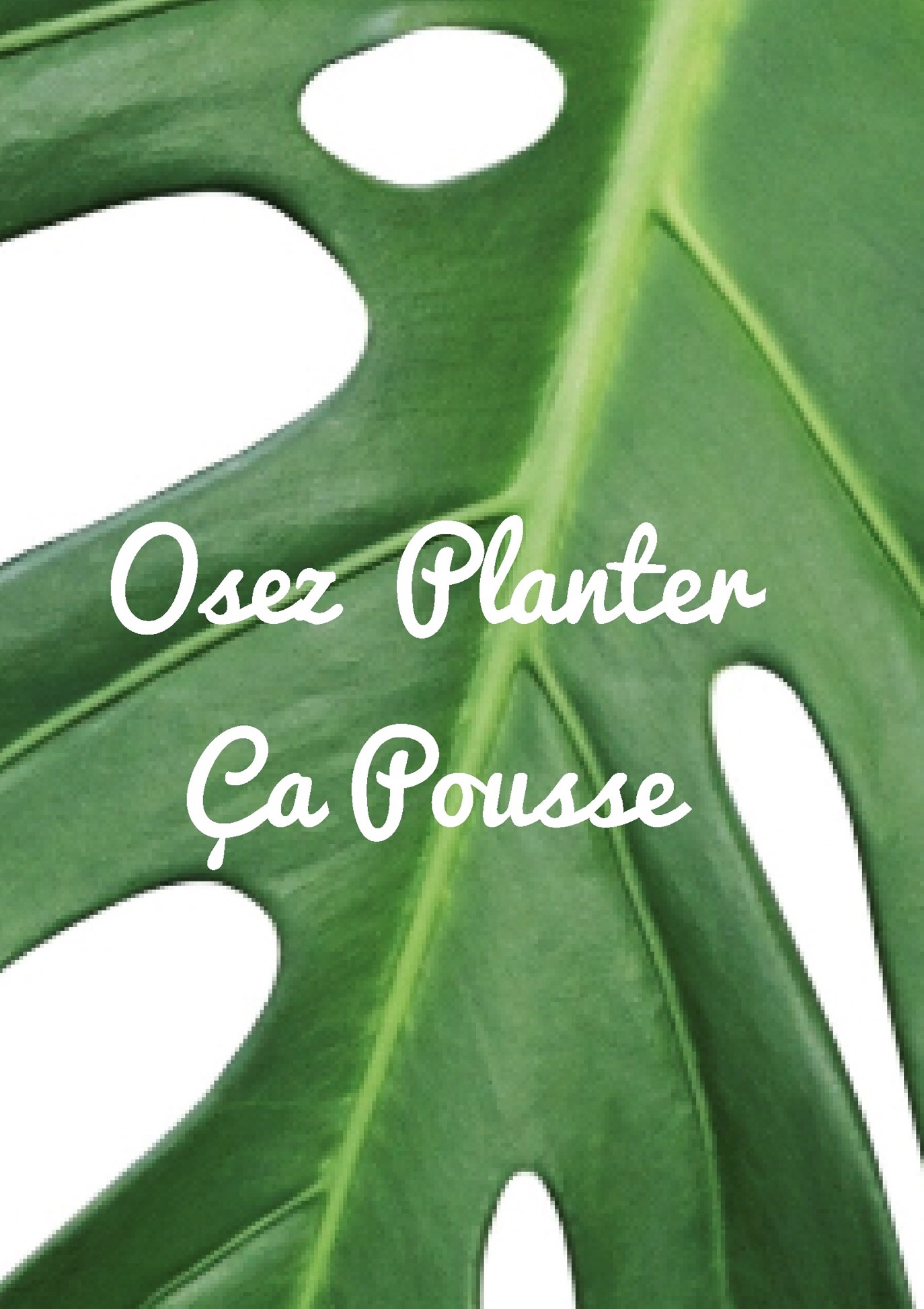 img_8318 – Osez Planter Ça Pousse